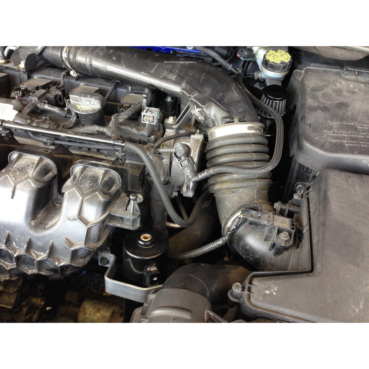 Focus ST Dual Oil Catch Can kit Stage 3 | Damond Motorsports — Speed ...