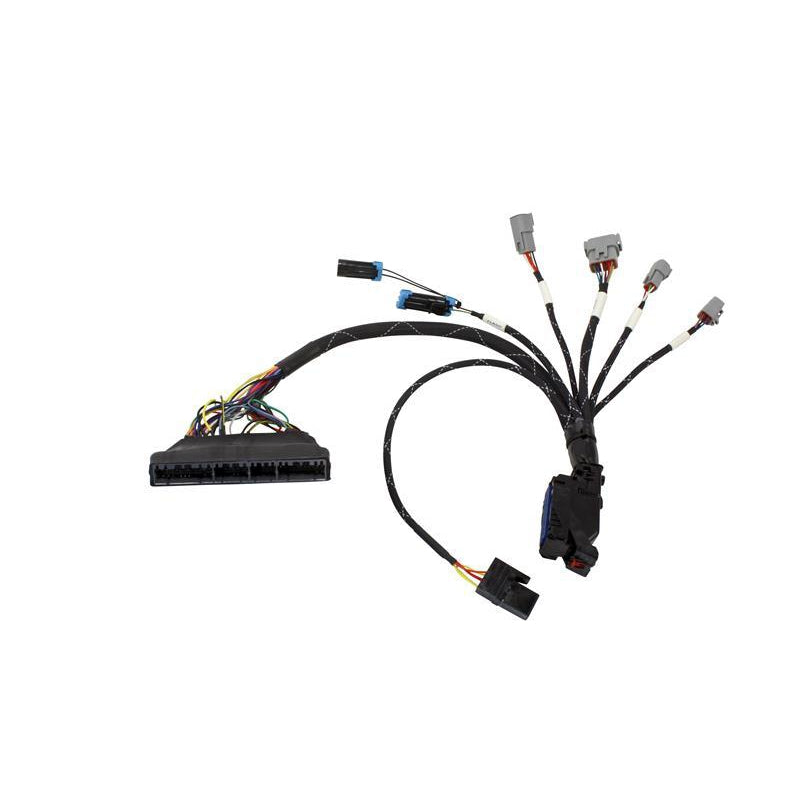 AEM Infinity 6/8h PnP Jumper Harness — Speed Science