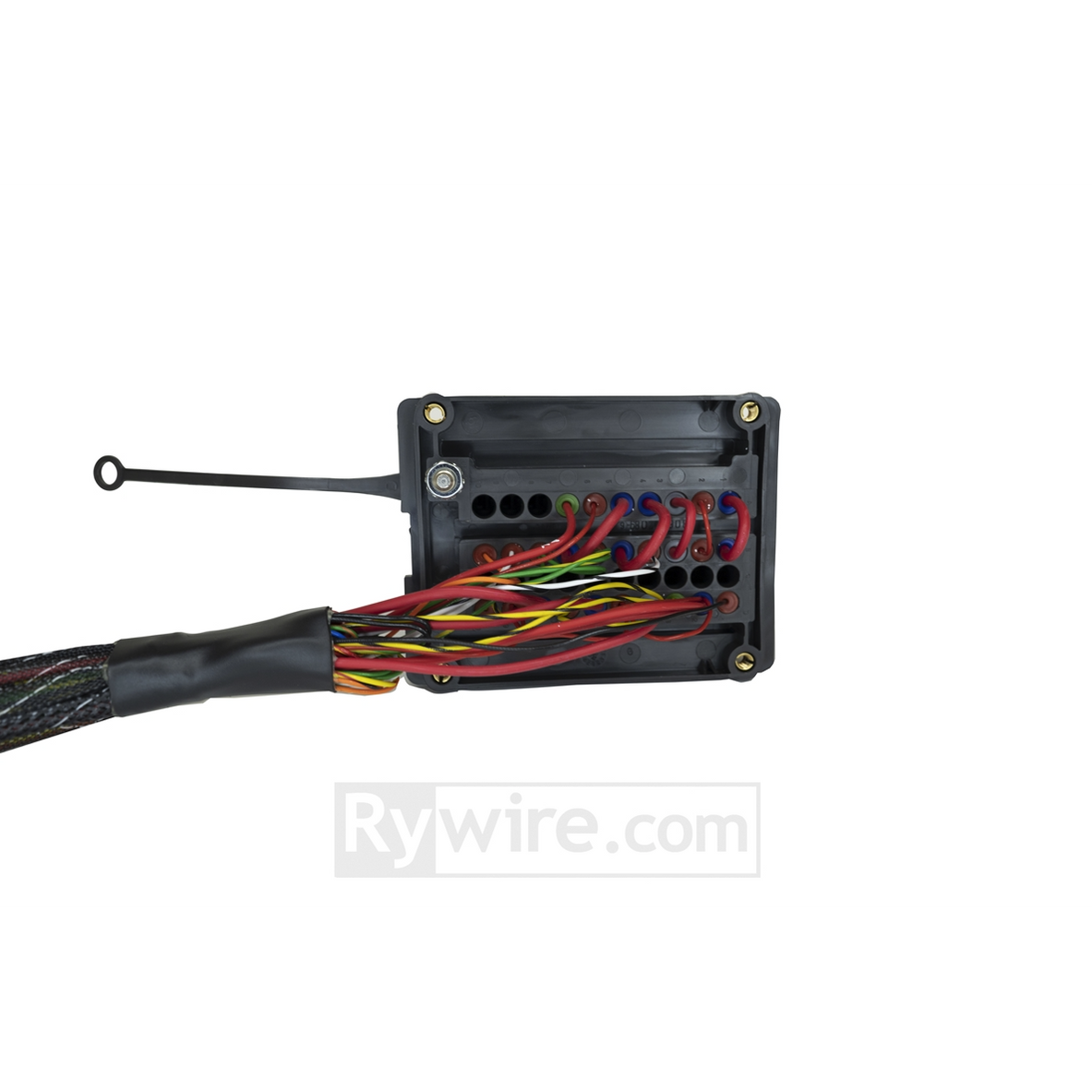 Rywire Mil-Spec Standalone (Race) Chassis Adapter For K-Series — Speed ...